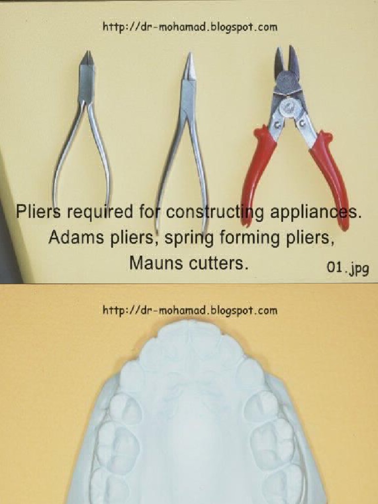 Adam Clasp Construction | PDF