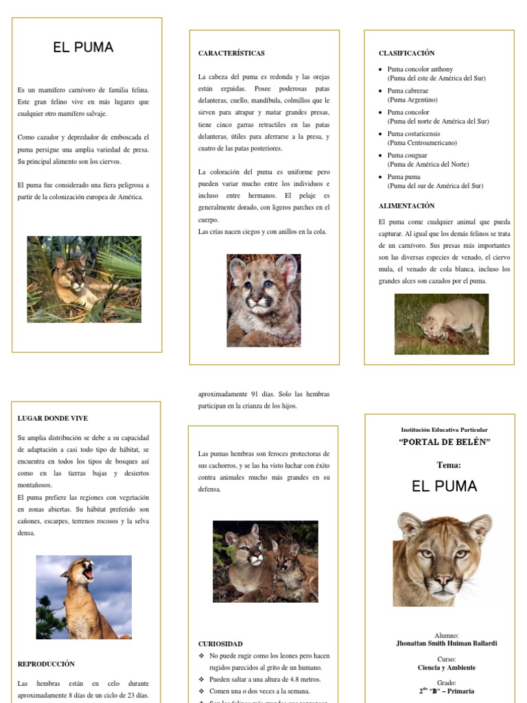El Puma | PDF | Puma | Naturaleza