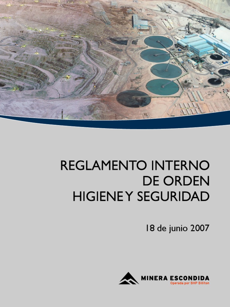 Reglamento Interno de Orden, Higiene y Seguridad | PDF