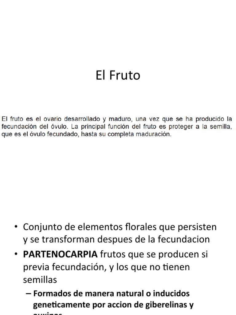 Flor y Fruto | PDF | Tecnología