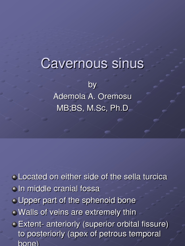 Cavernous Sinus | PDF | Human Head And Neck | Human Anatomy
