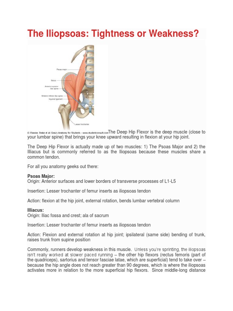 Hip Flexors - The Iliopsoas - Tightness or Weakness | Hip | Dance Science