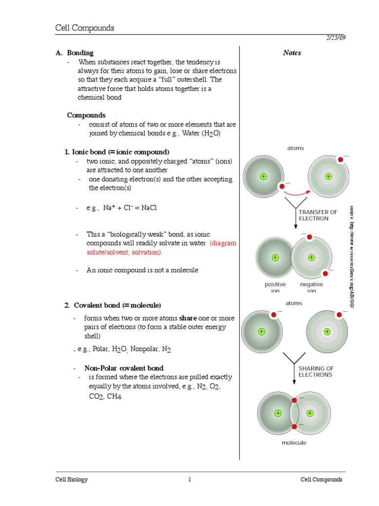 Cell Compounds | PDF | Chemical Bond | Properties Of Water