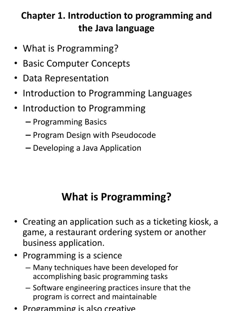 Java Programming Basics | PDF | Computer Program | Programming