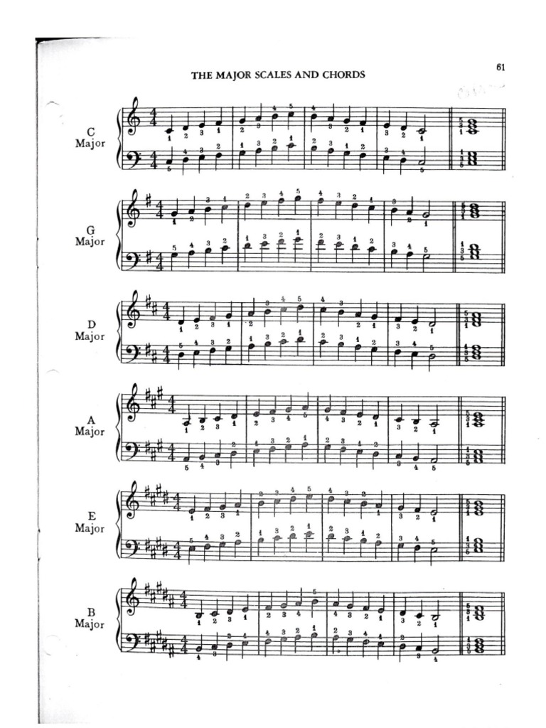 Beginner Piano Scales and Exercises | PDF