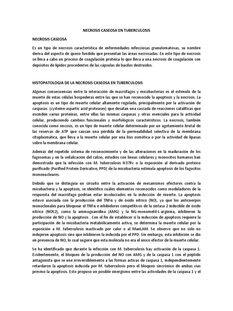Necrosis Caseosa en Tuberculosis | PDF | Caspasa | Apoptosis
