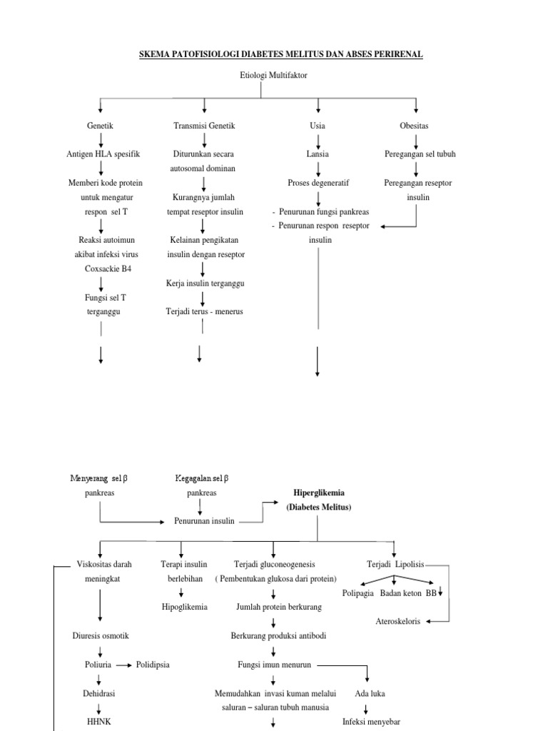 Skema Patofisiologi Diabetes Melitus Dan Abses Perirenal | PDF