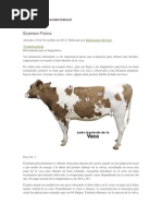 Reflejo de Flehmen en Animales | PDF | Biología