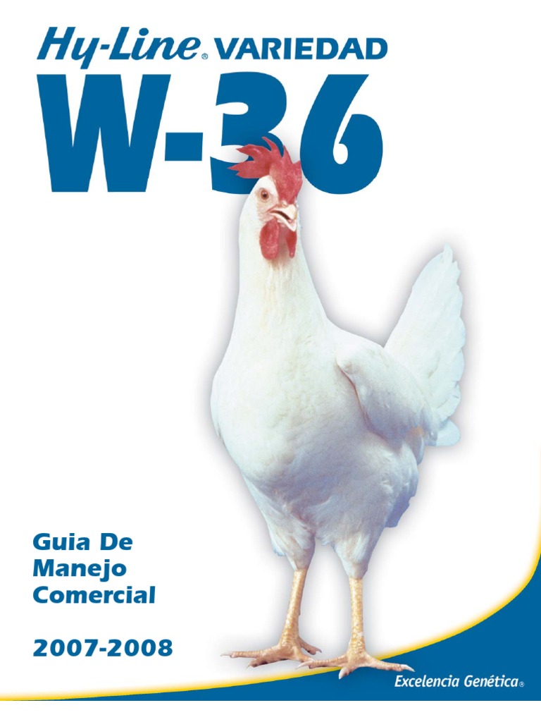 Hy Line Blanca W36 - 07-08 Esp | PDF | Aves | Caldera