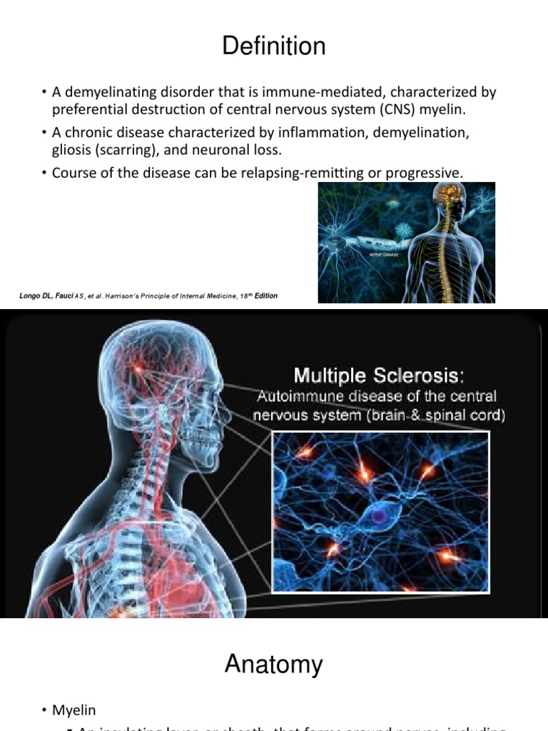 MS Definition and Anatomy | PDF | Myelin | Multiple Sclerosis