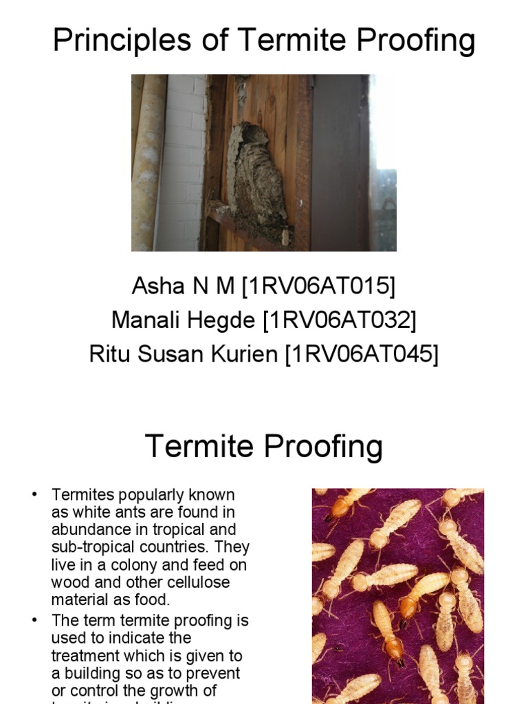 Principles of Termite Proofing - BCM Seminar | PDF | Drainage | Soil