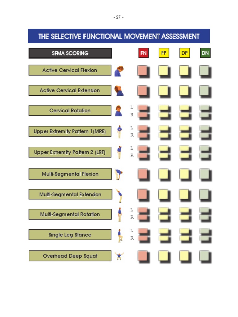 SFMA Flowcharts | Anatomical Terms Of Motion | Vertebral Column