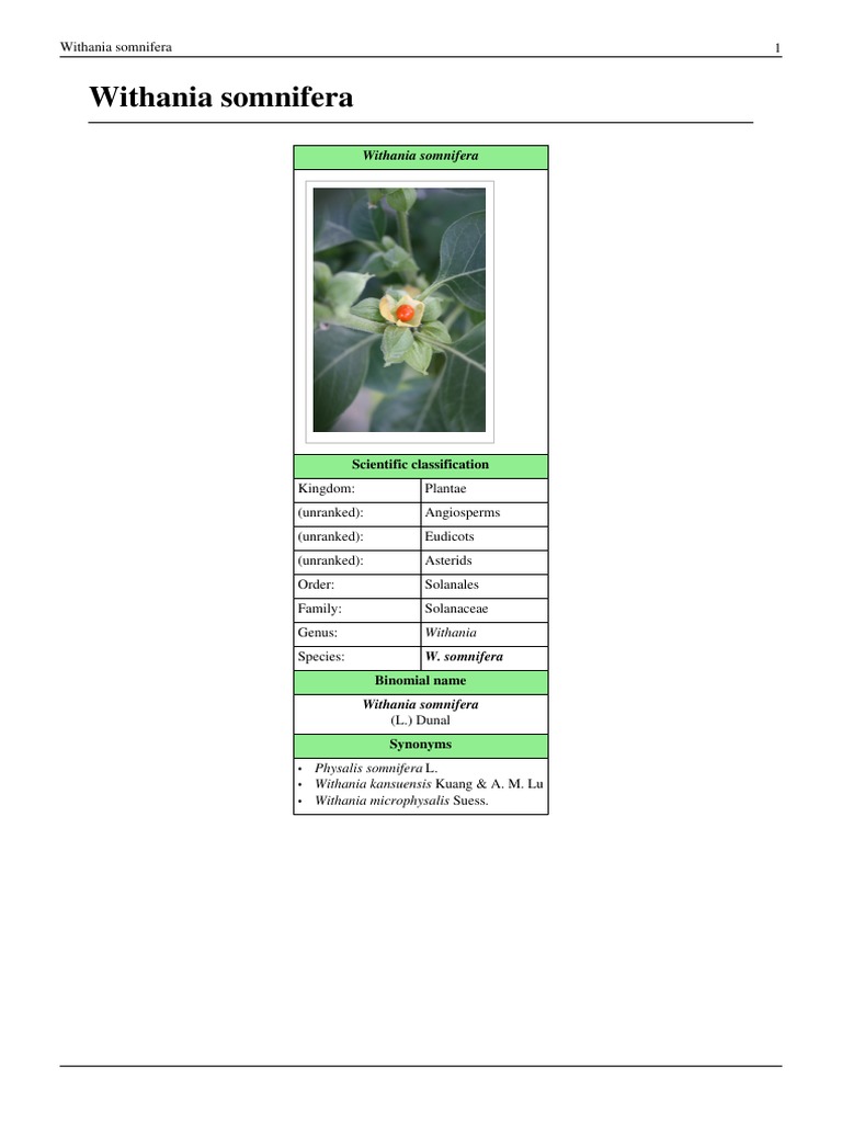 Wikipedia Withania Somnifera | PDF | Plants | Organisms