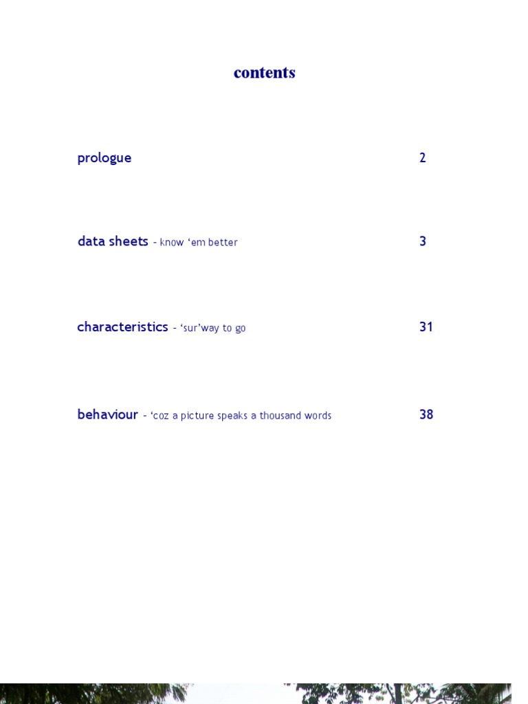 Year Book | PDF | Leisure