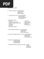 Primjer Seminarskog Rada | PDF