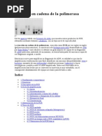Clasificación Los Ángeles Esofagitis | PDF | Medicina CLINICA ...
