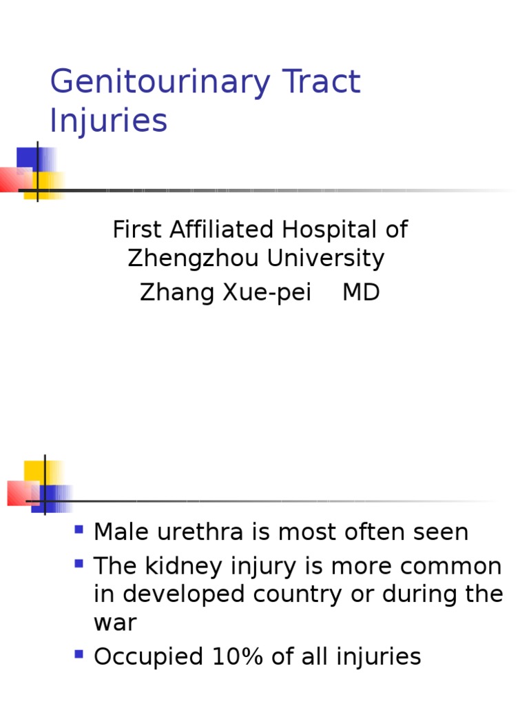 Genitourinary Tract Injuries: First Affiliated Hospital of Zhengzhou ...