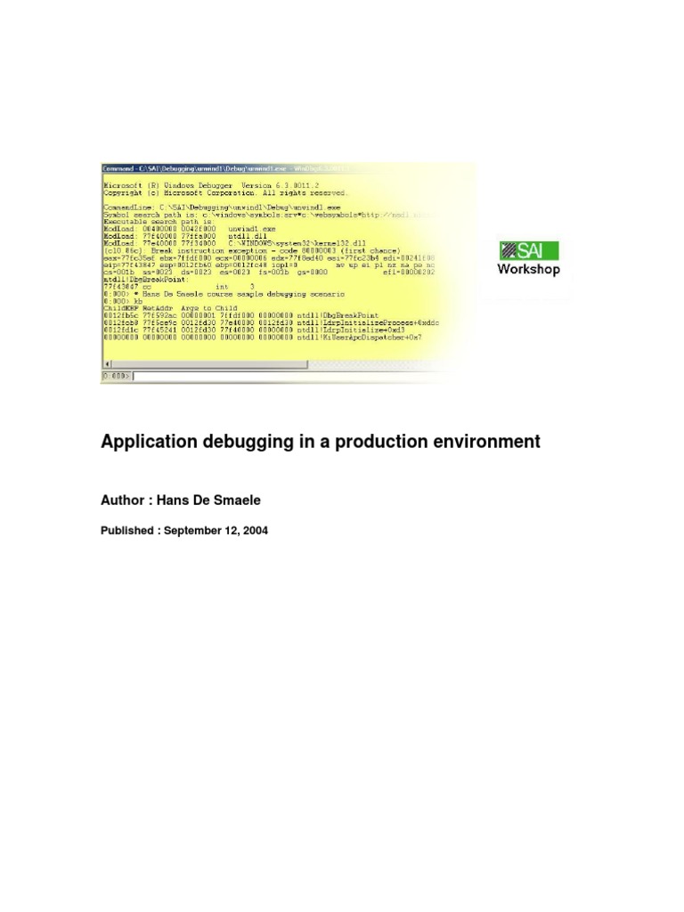 Application Debugging | Download Free PDF | Windows Registry | Debugging