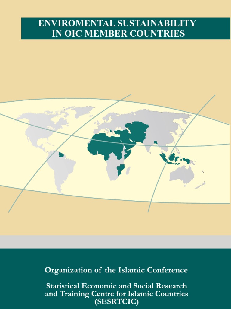 Environmental Sustainability | PDF | Economic Development | Sustainability