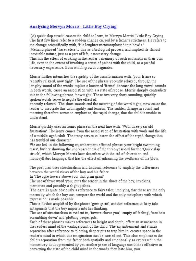 Little Boy Crying | PDF | Cognitive Science | Linguistics