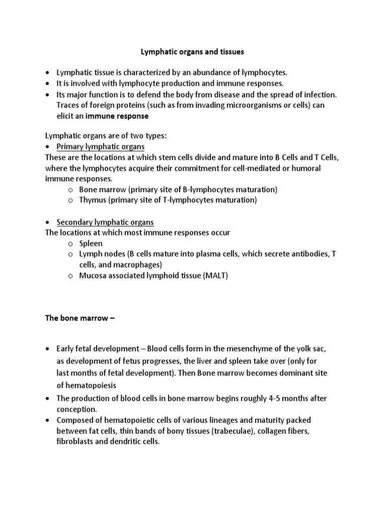 Lymphatic System Overview | PDF | Lymphatic System | Lymph Node