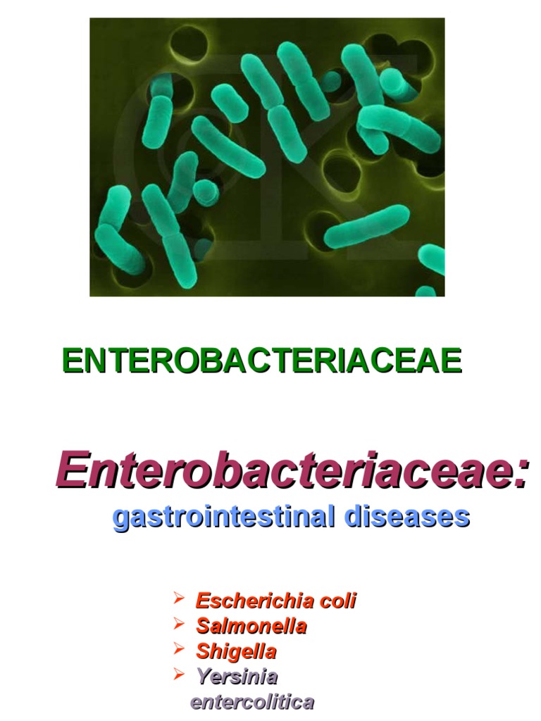 ENTEROBACTERIACEAE | Salmonella | Escherichia Coli
