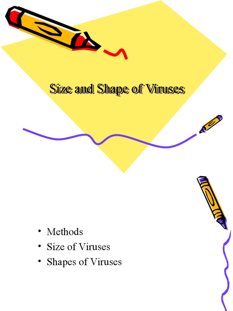 Virus Size, Shape, and Structure | PDF | Virus | Biochemistry
