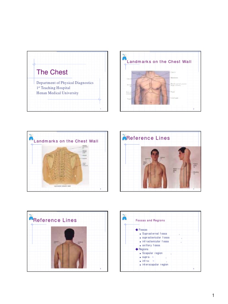 The Chest: Reference Lines | PDF | Breast Cancer | Lung