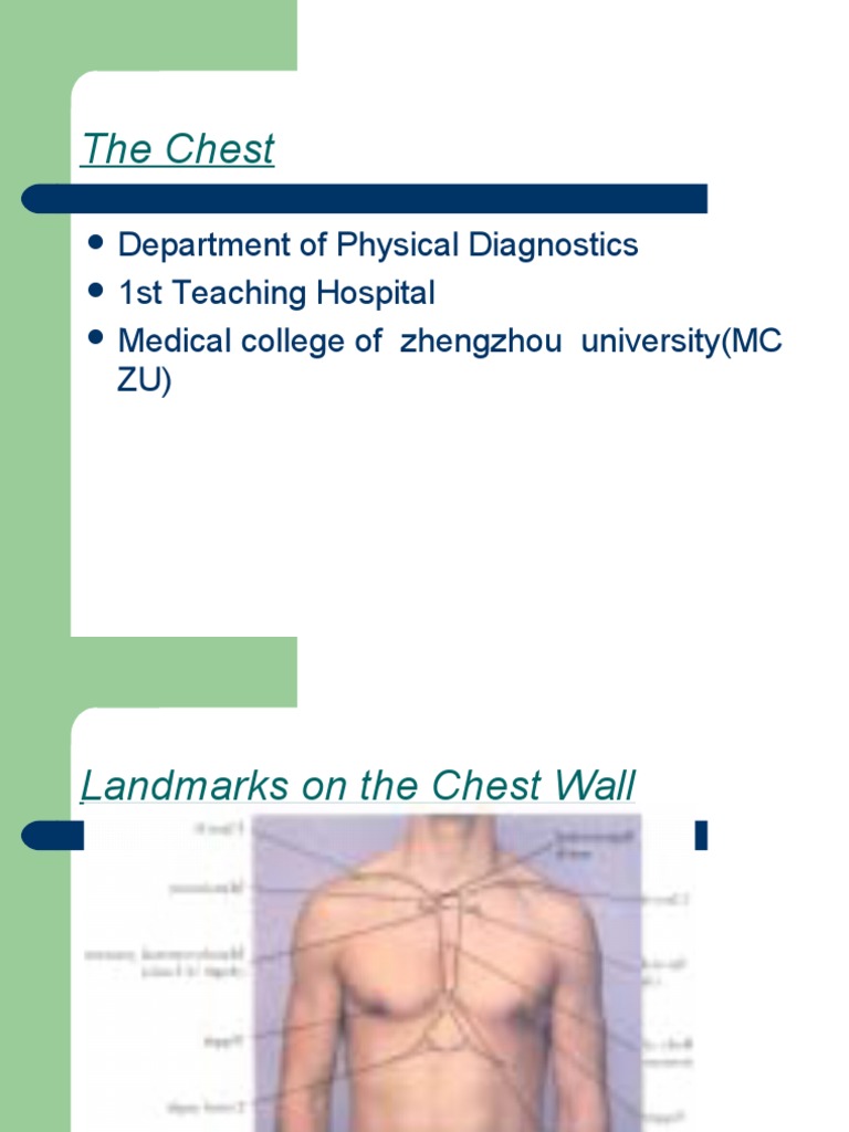 Physical Exam - Chest 2006 | PDF | Lung | Breathing
