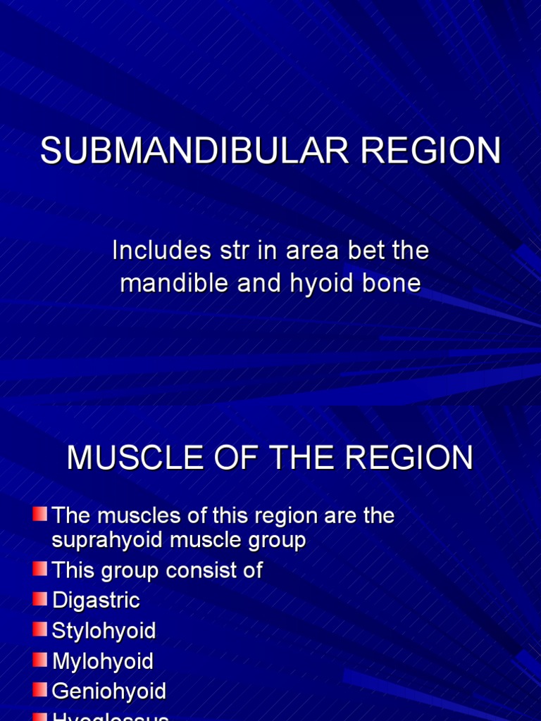 Submandibular Region | PDF | Human Anatomy | Human Head And Neck