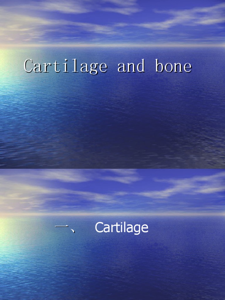 Cartilage Bone Pdf Bone Osteoblast