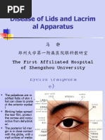 Fundus Diagram Drawing Guide | PDF | Retina | Human Eye
