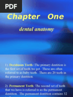 Triadan Tooth Numbering Guide | PDF | Dental Anatomy | Dentistry