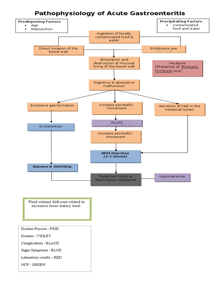 The Pathophysiology of Acute Gastroenteritis: A Breakdown of the ...