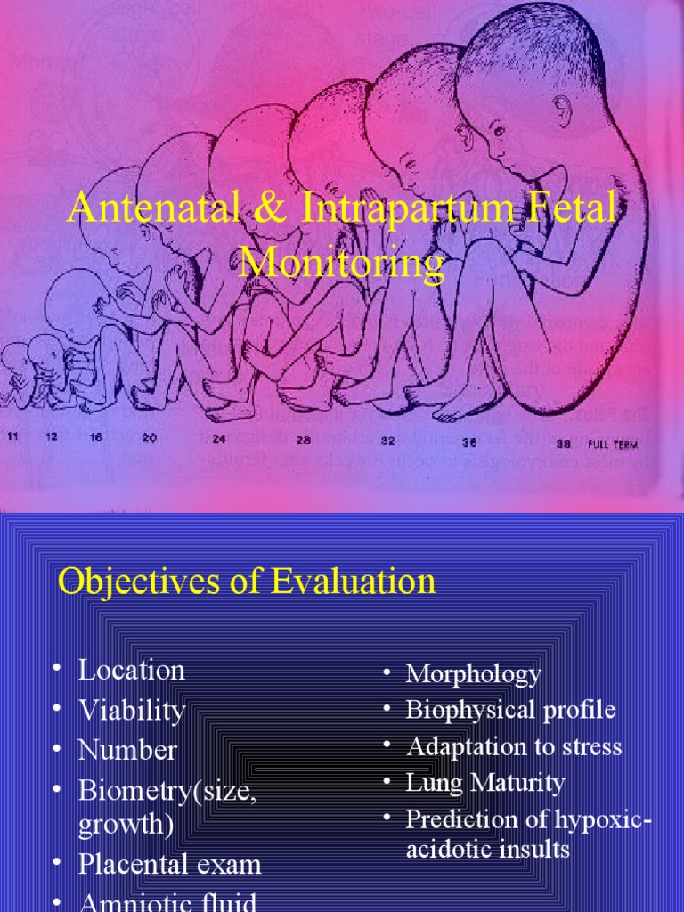11-Evaluation of Fetal Well-being Sept01 | Fetus | Obstetrics