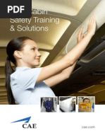 In Flight Service Script | PDF | Flight Attendant | Aviation