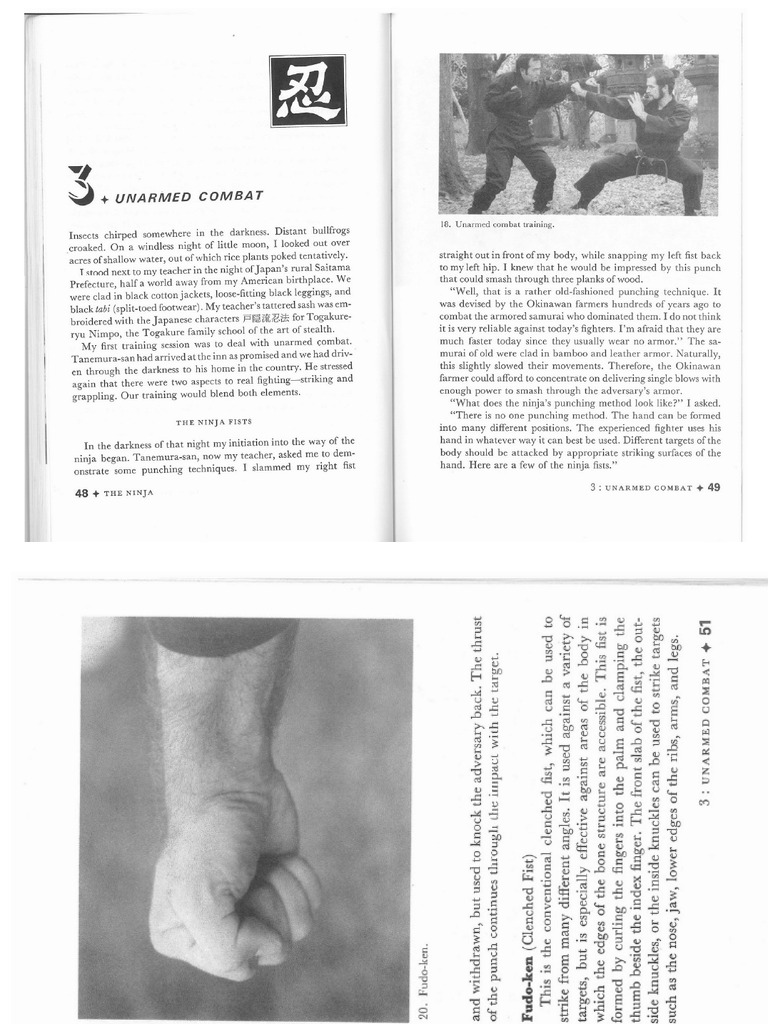 Ninjutsu Combat Stances | PDF