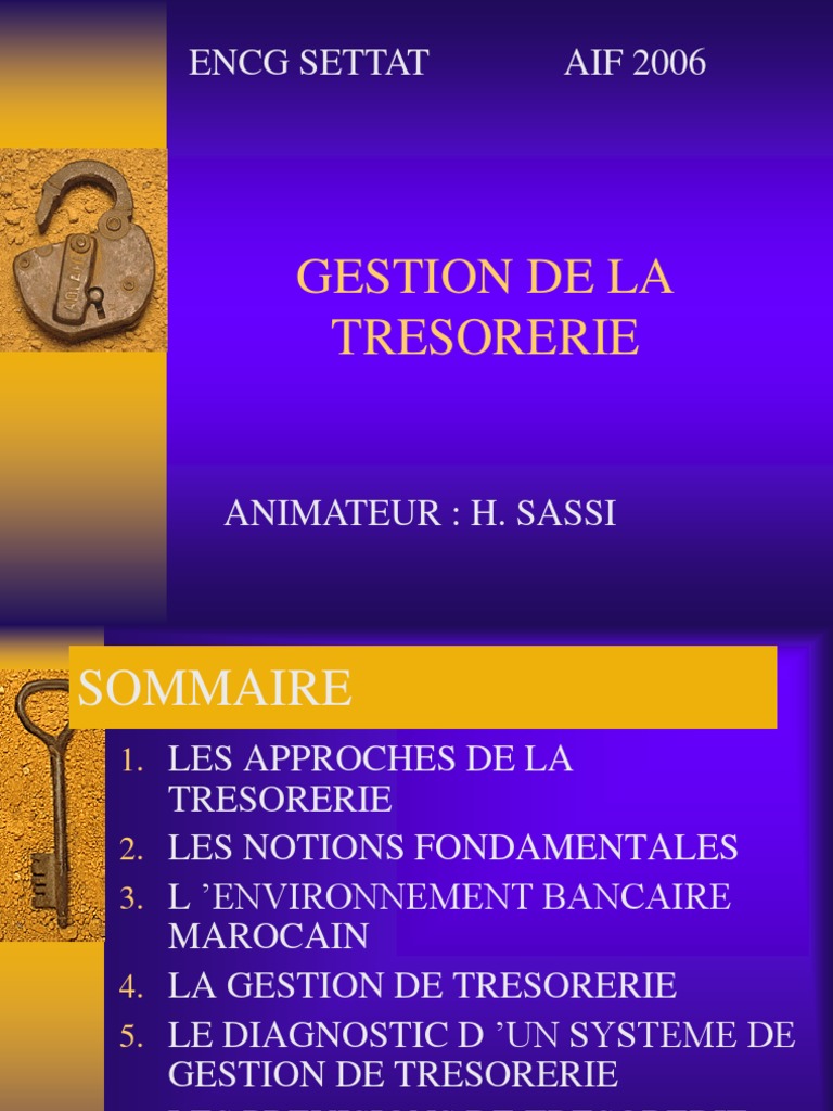 Gestion de Tresorerie | PDF | Trésor | Banques