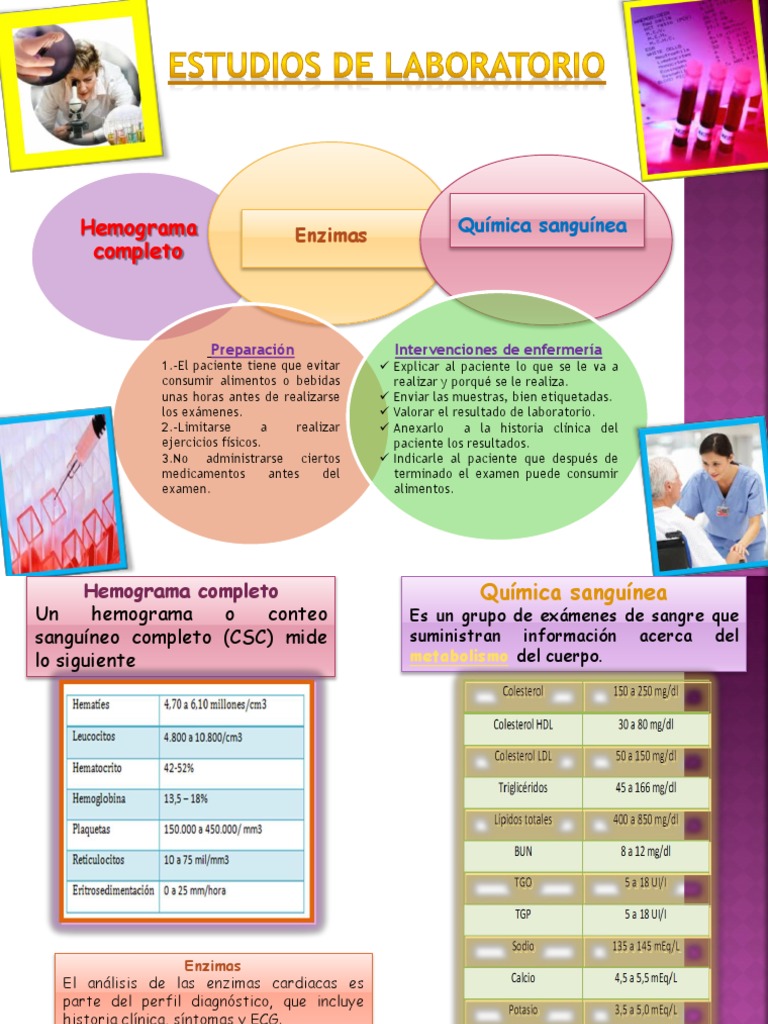 Ex Laboratorio | PDF | Salud y bienestar | Ciencia y matemáticas