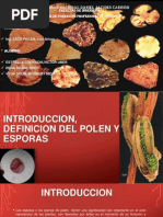 Morfología y Estructura del Polen | PDF | Polen | Flores