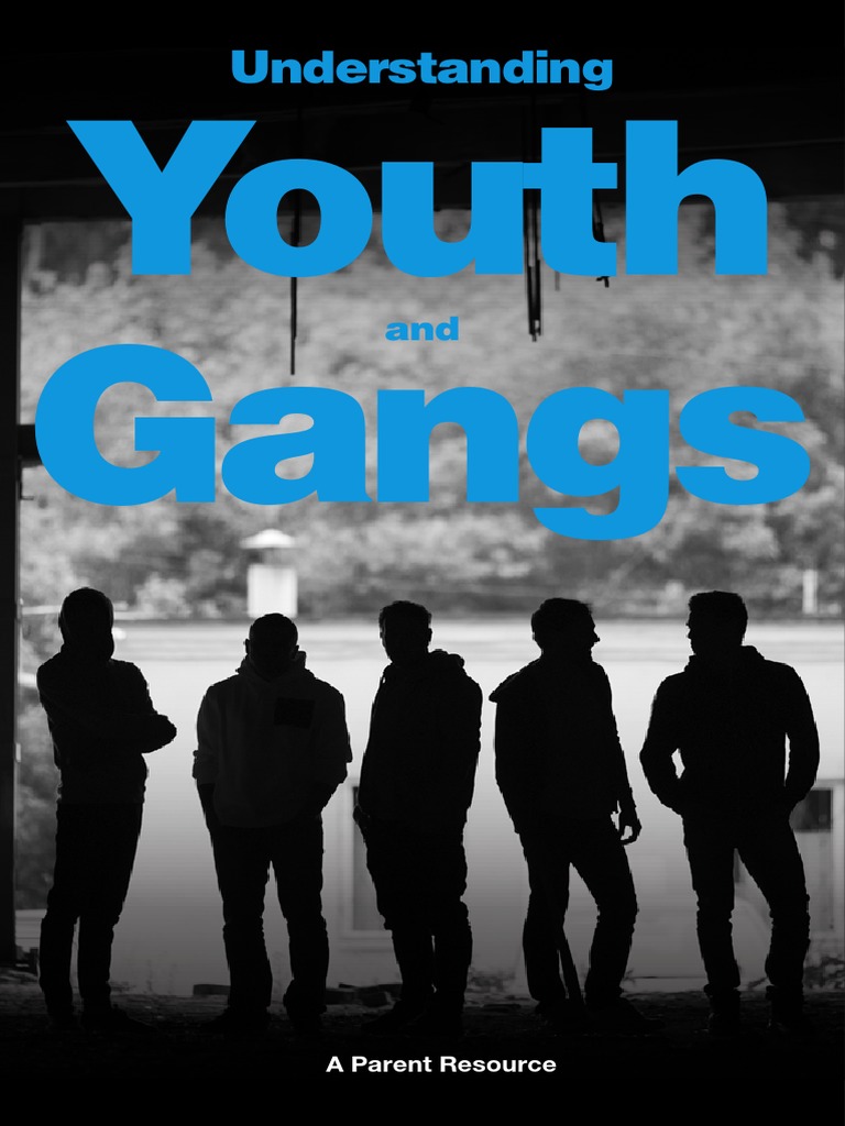 Understanding Youth and Gangs Booklet | PDF | Gang | Organized Crime
