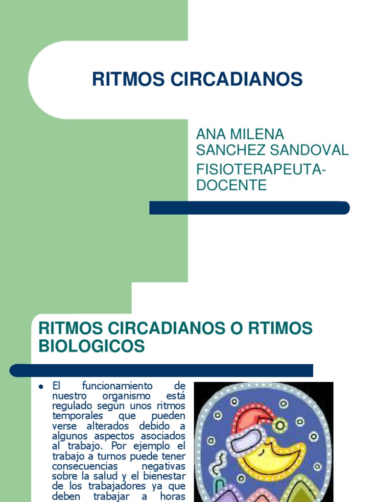 Ritmos Circadianos | PDF | Ritmo circadiano | Dormir