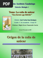 Cadeca | PDF | Honduras | Economias