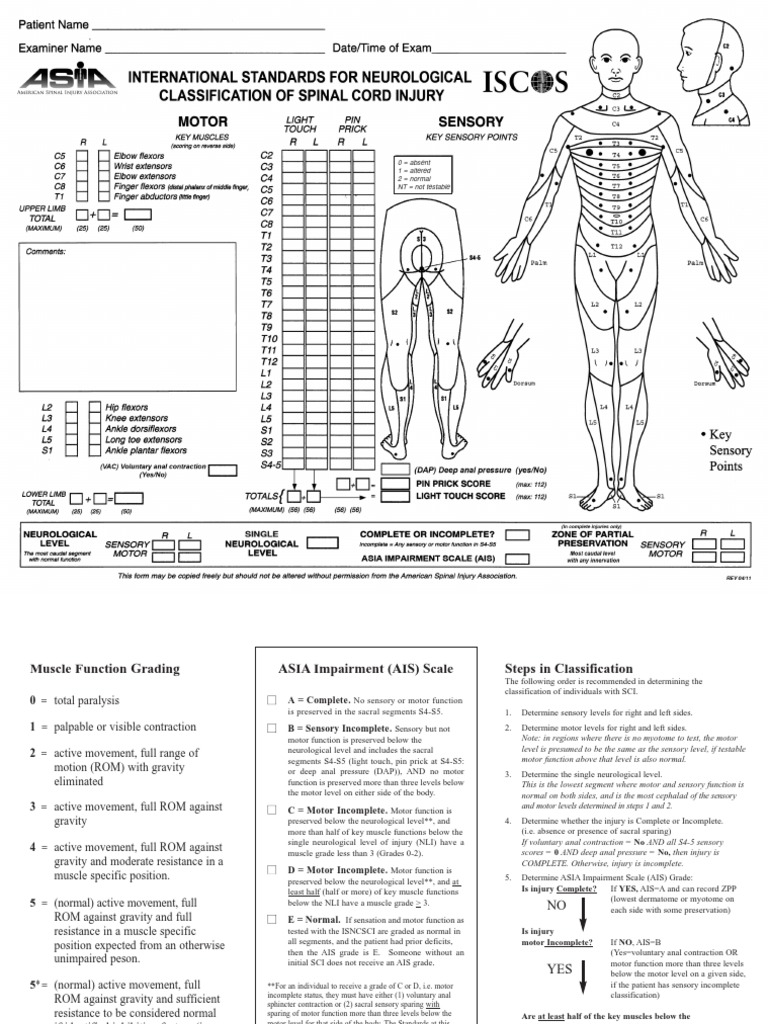 Asia Score For Vertebra Injury | PDF | Motor Control | Muscle