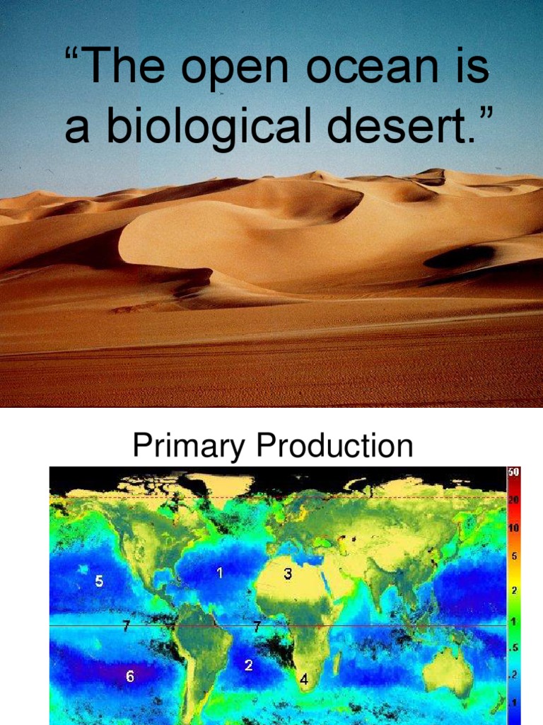 The Open Ocean Is A Biological Desert. | PDF | Primary Production ...