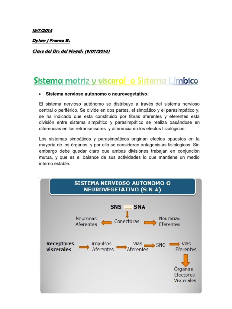 Sistema Autonomo y Sistema Limbico DJFB | PDF | Hipocampo | Sistema ...