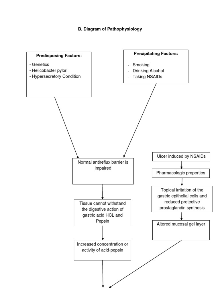 Patho Diagram | Peptic Ulcer | Stomach