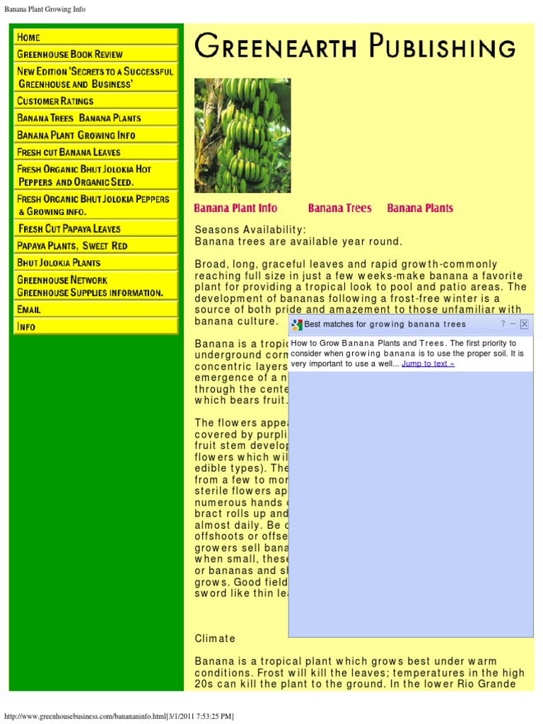 Banana Plant Growing Info | PDF