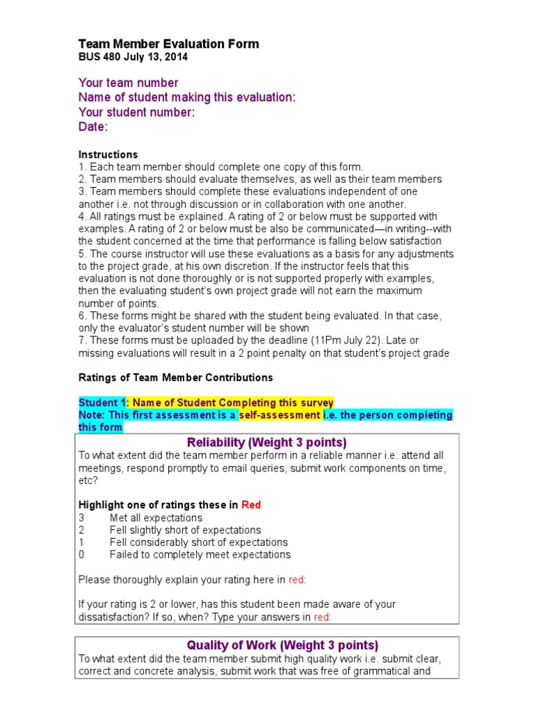 Evaluating Team Member Performance: A Detailed Team Member Evaluation ...
