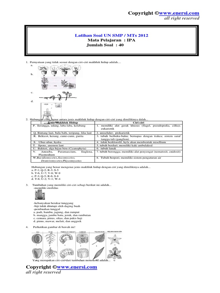 Latihan Soal Un Ipa | PDF